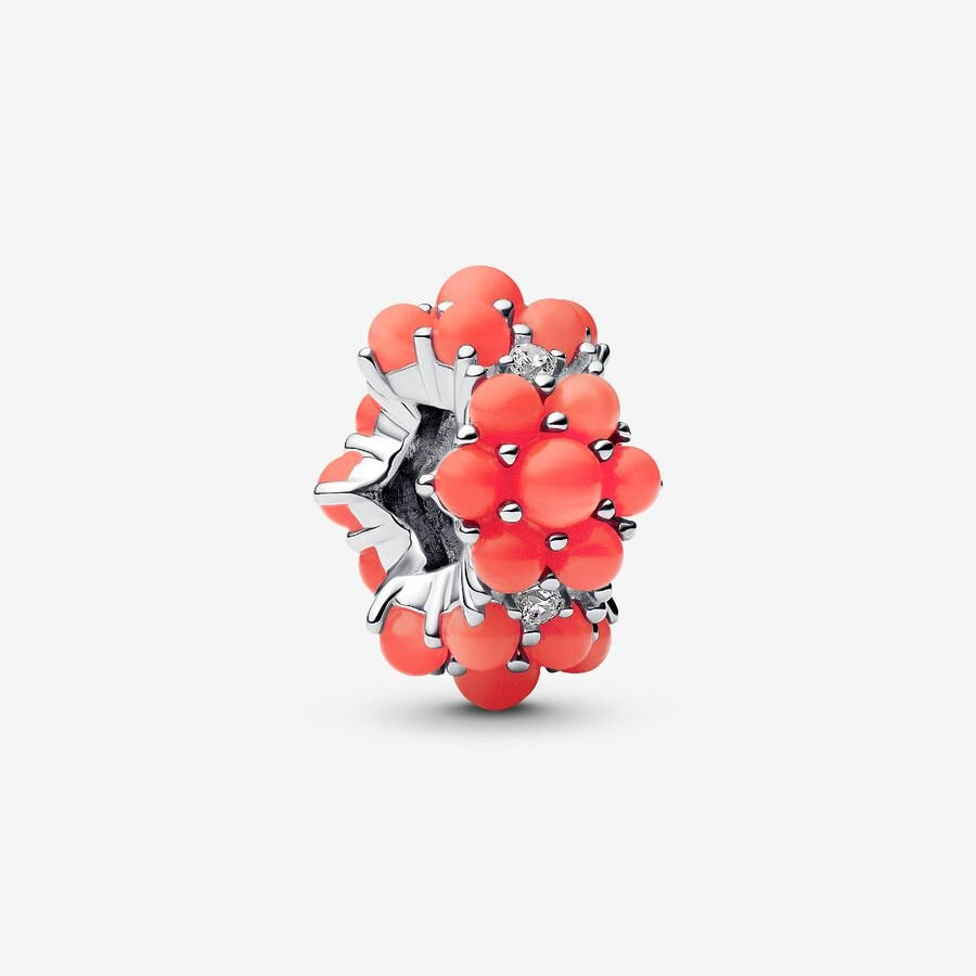 Coral Ocean Pandora Charm – Apothecary Gift Shop