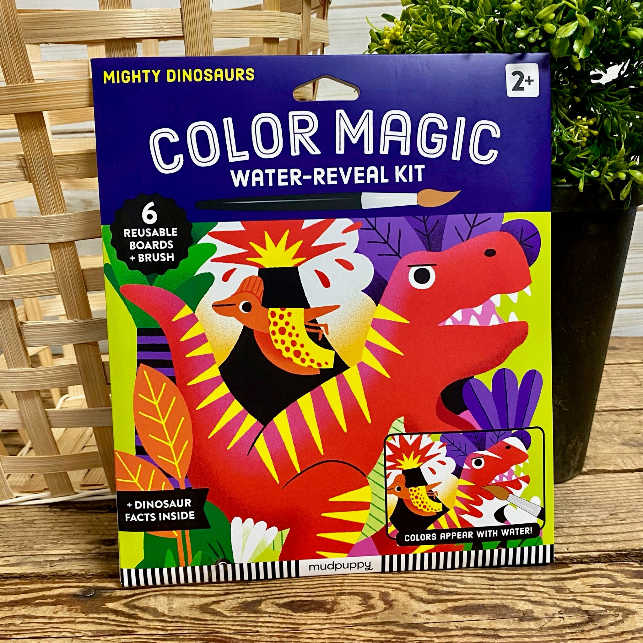 Color Magic Water Reveal Kits – Apothecary Gift Shop