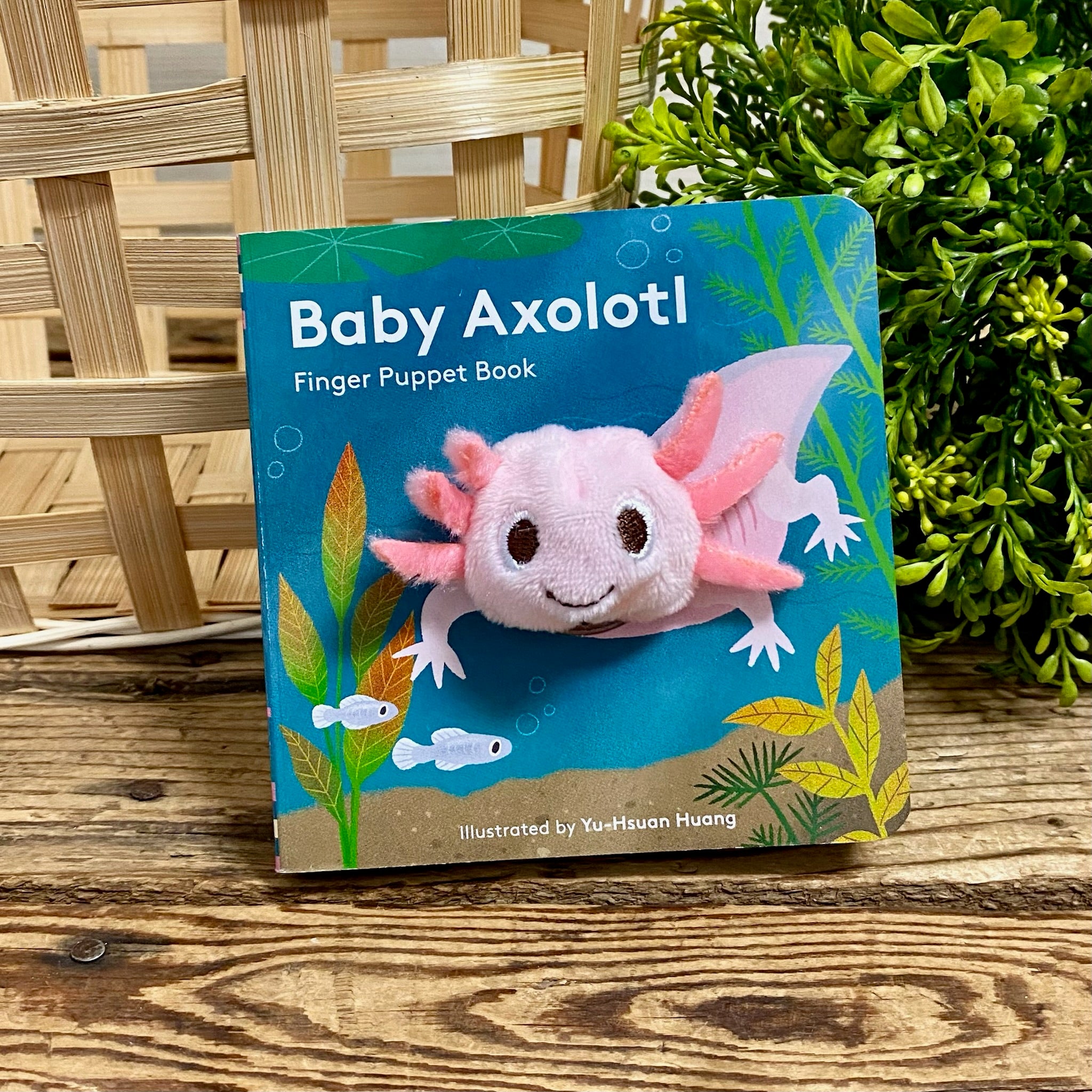 Axolotl Finger Puppet Book – Apothecary Gift Shop