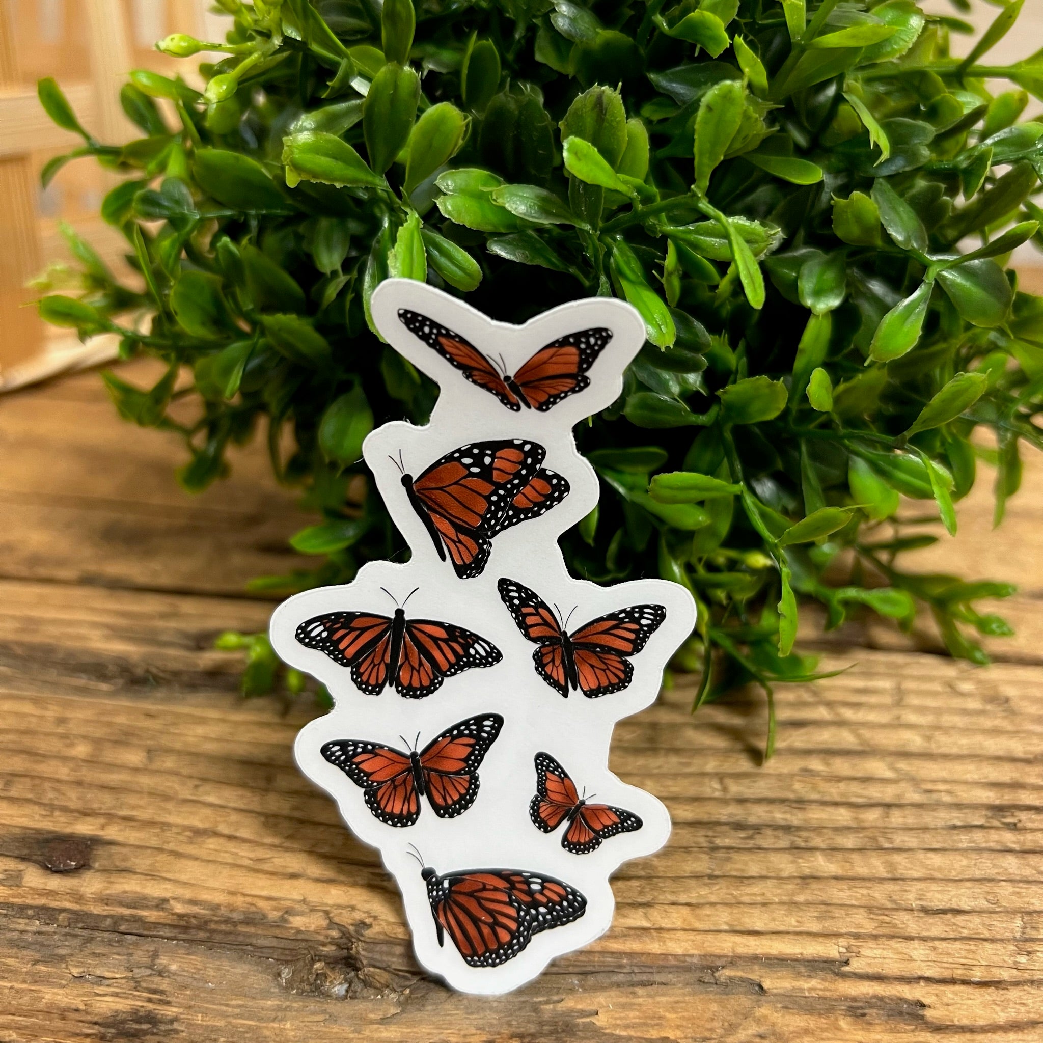 Flying Butterflies Sticker – Apothecary Gift Shop