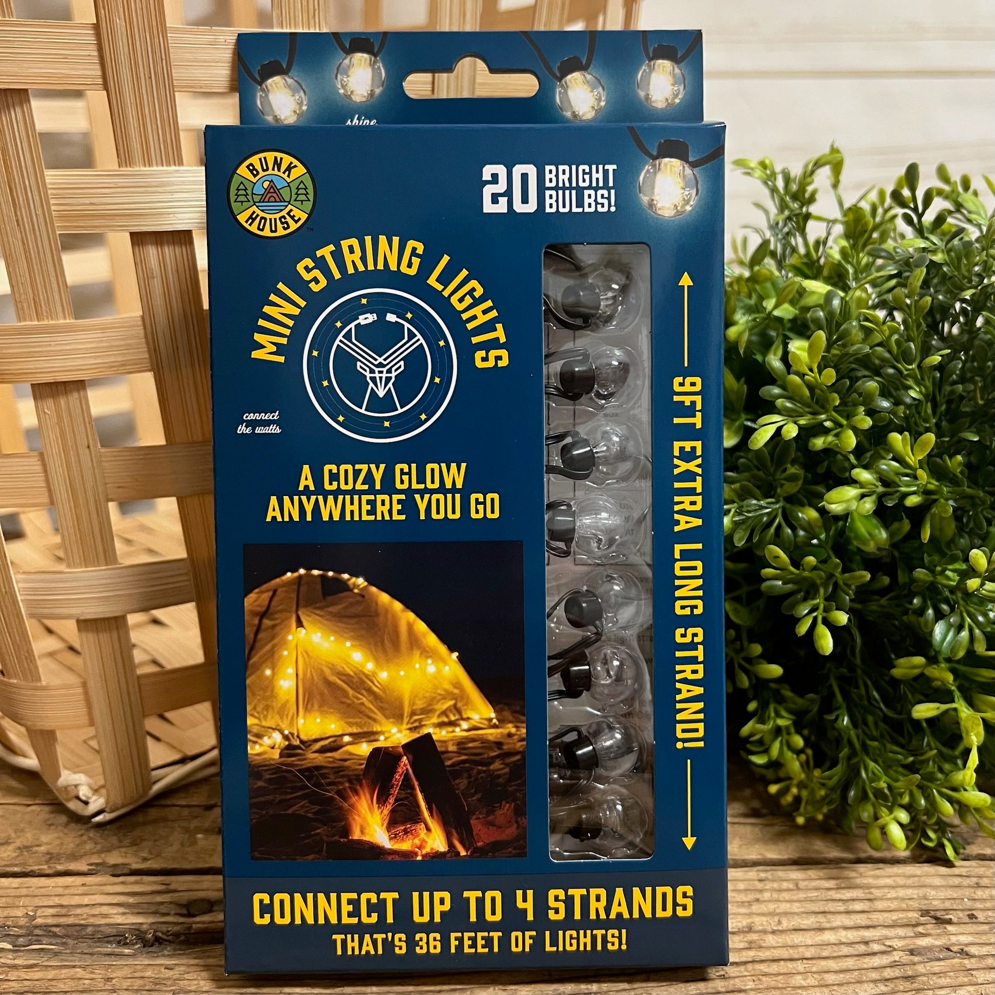 Bunk House String Lights – Apothecary Gift Shop