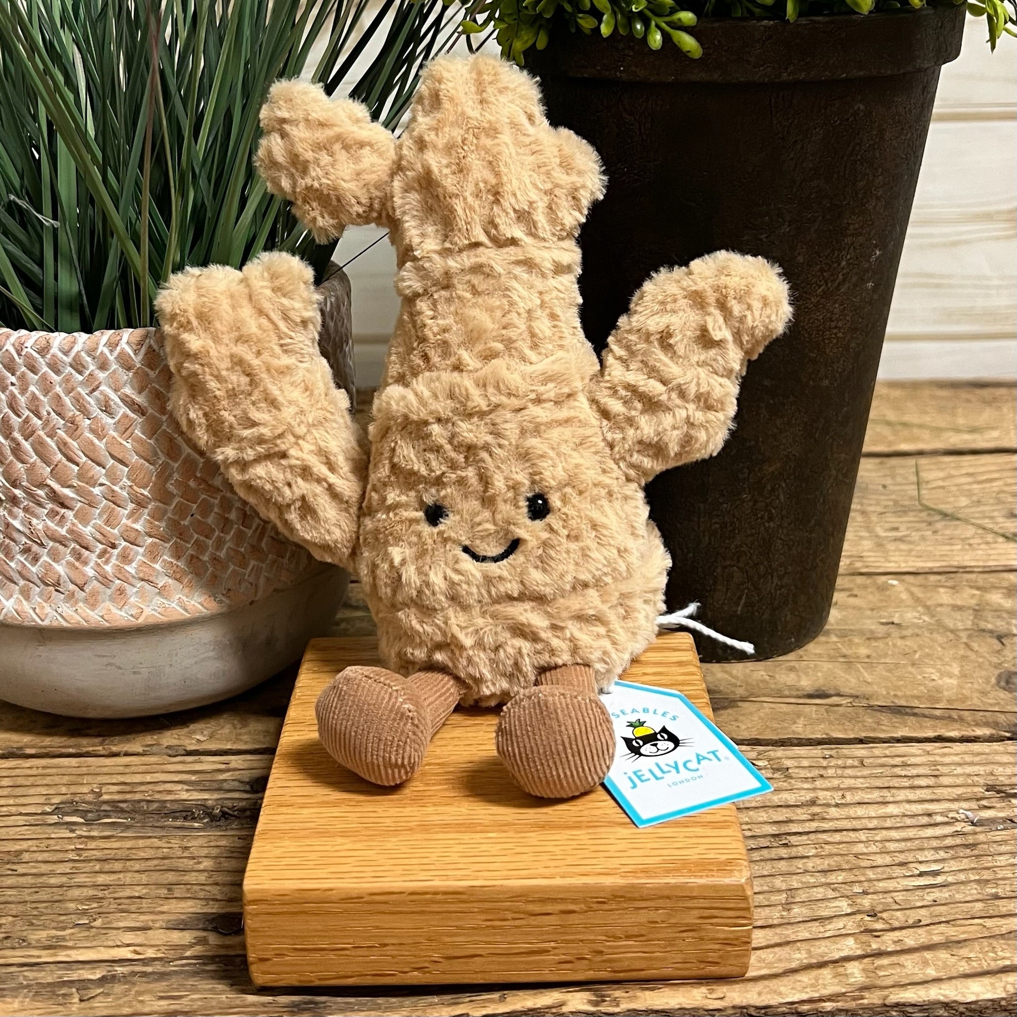 Amuseable Ginger – Apothecary Gift Shop