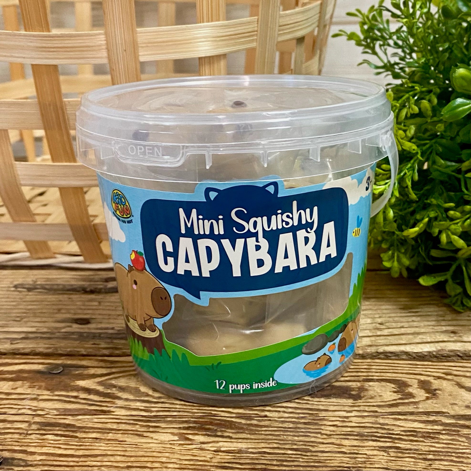 Mini Squishy Capybara Bucket – Apothecary Gift Shop