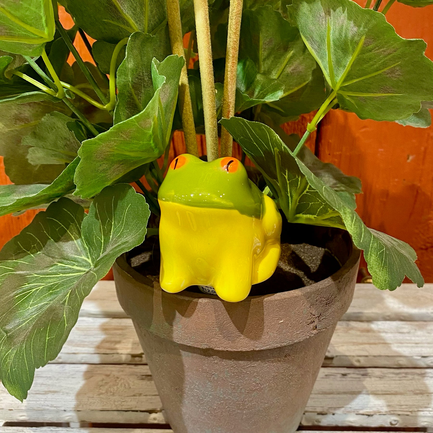 Watering Plant Pet Garden – Apothecary Gift Shop