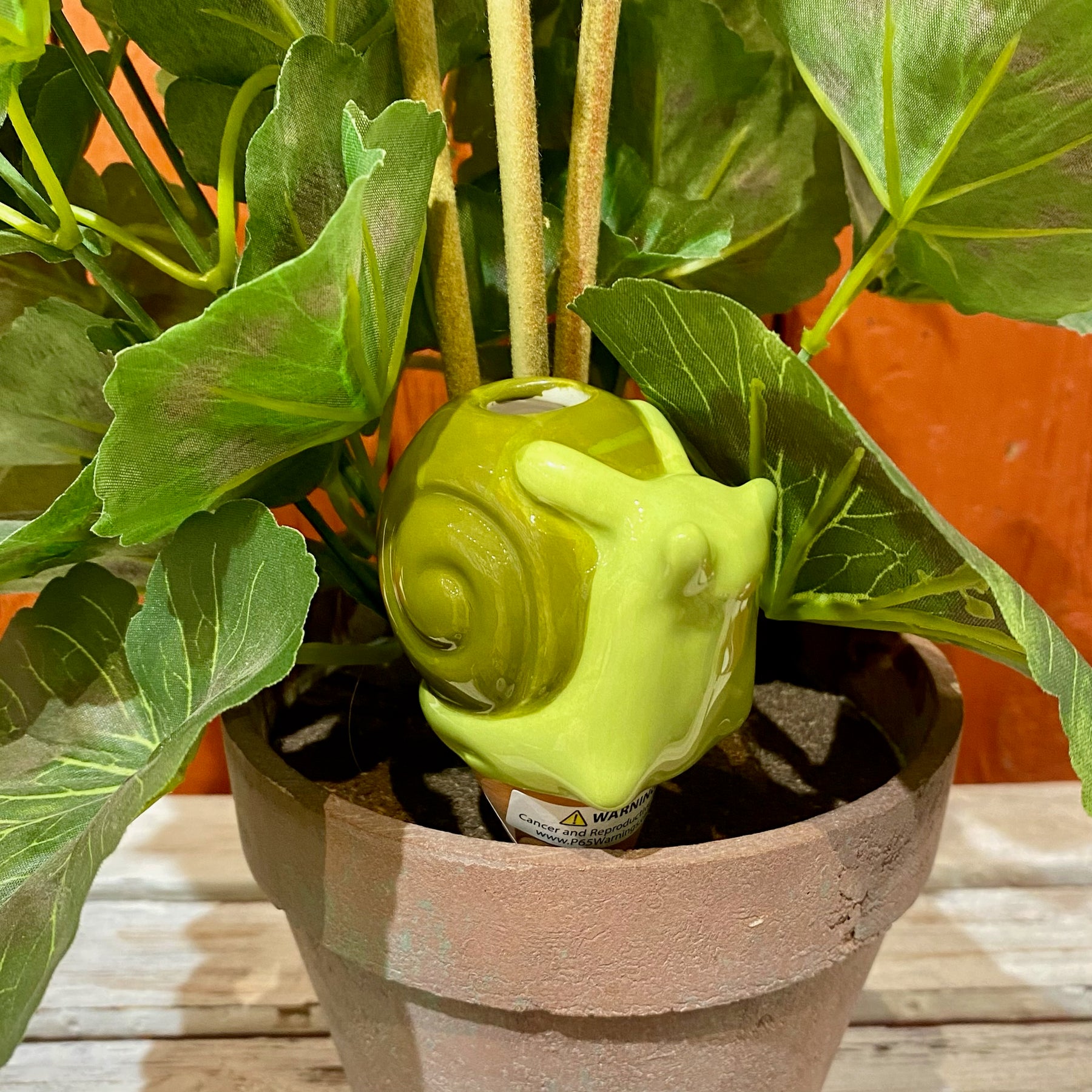 Watering Plant Pet Garden – Apothecary Gift Shop