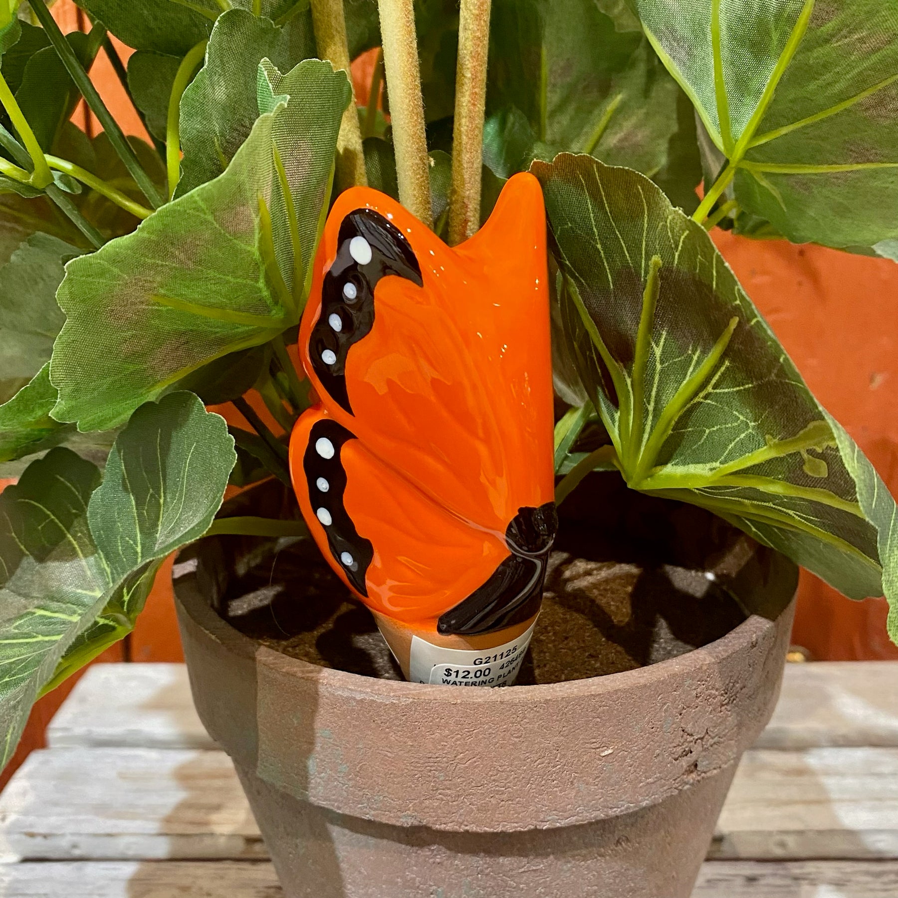 Watering Plant Pet Garden – Apothecary Gift Shop