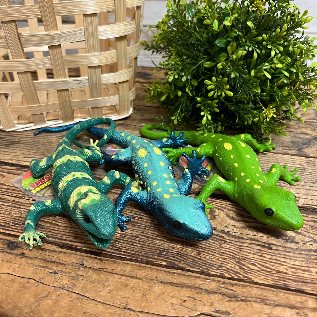 Lizard Squishimals – Apothecary Gift Shop